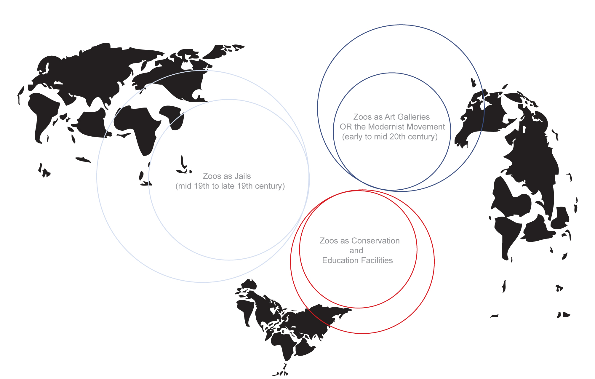 Vivarium Analysis | Amanda Kight