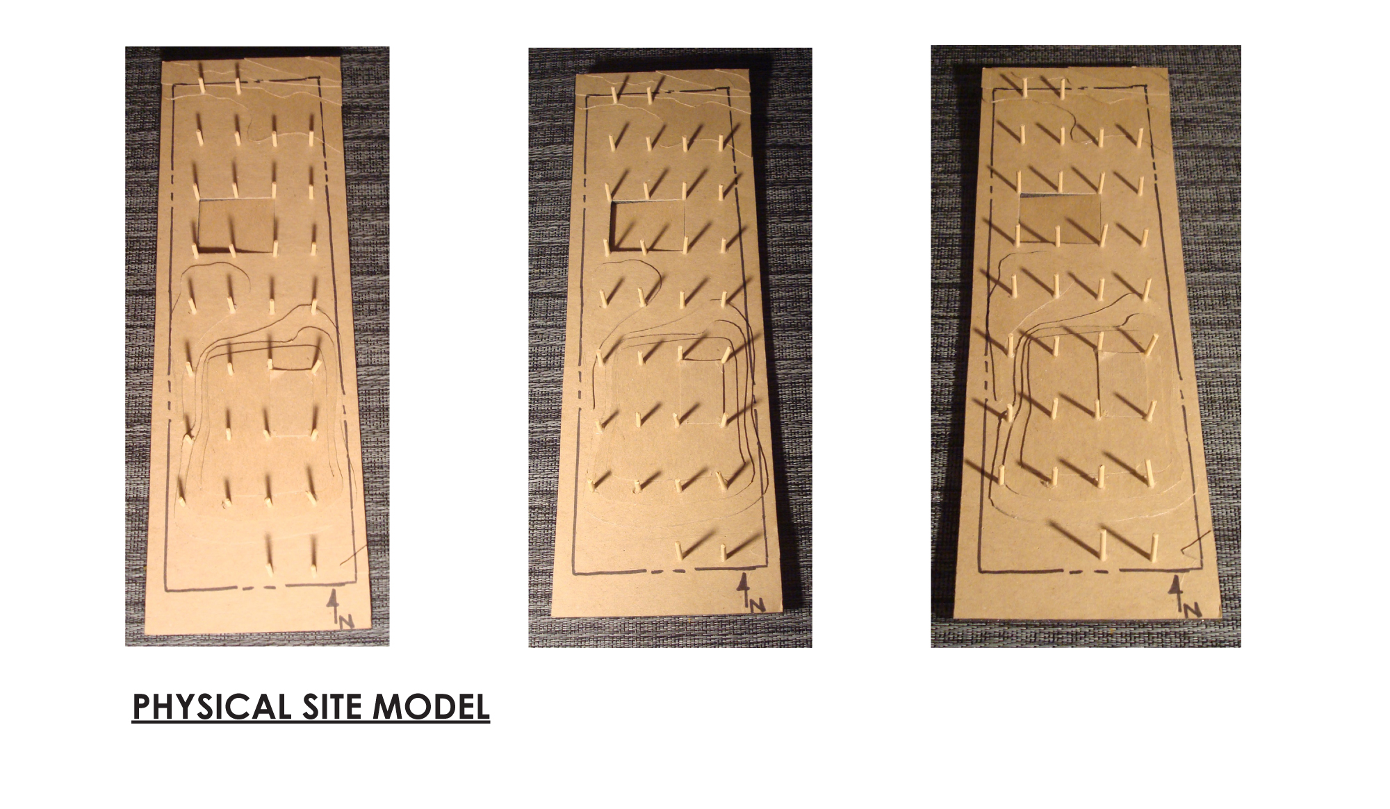 Structural Grid Study | Amanda Kight
