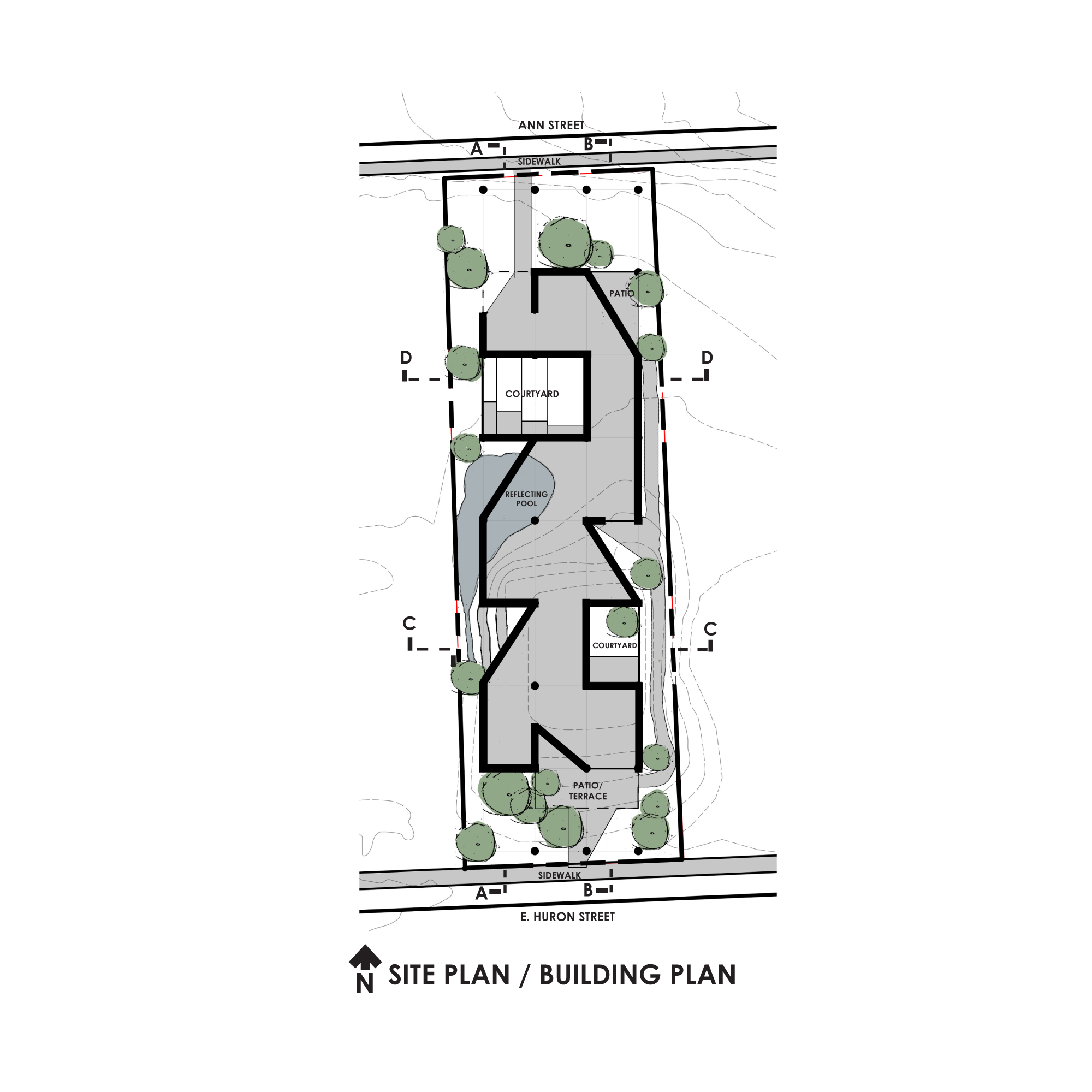 Structural Grid Study | Amanda Kight