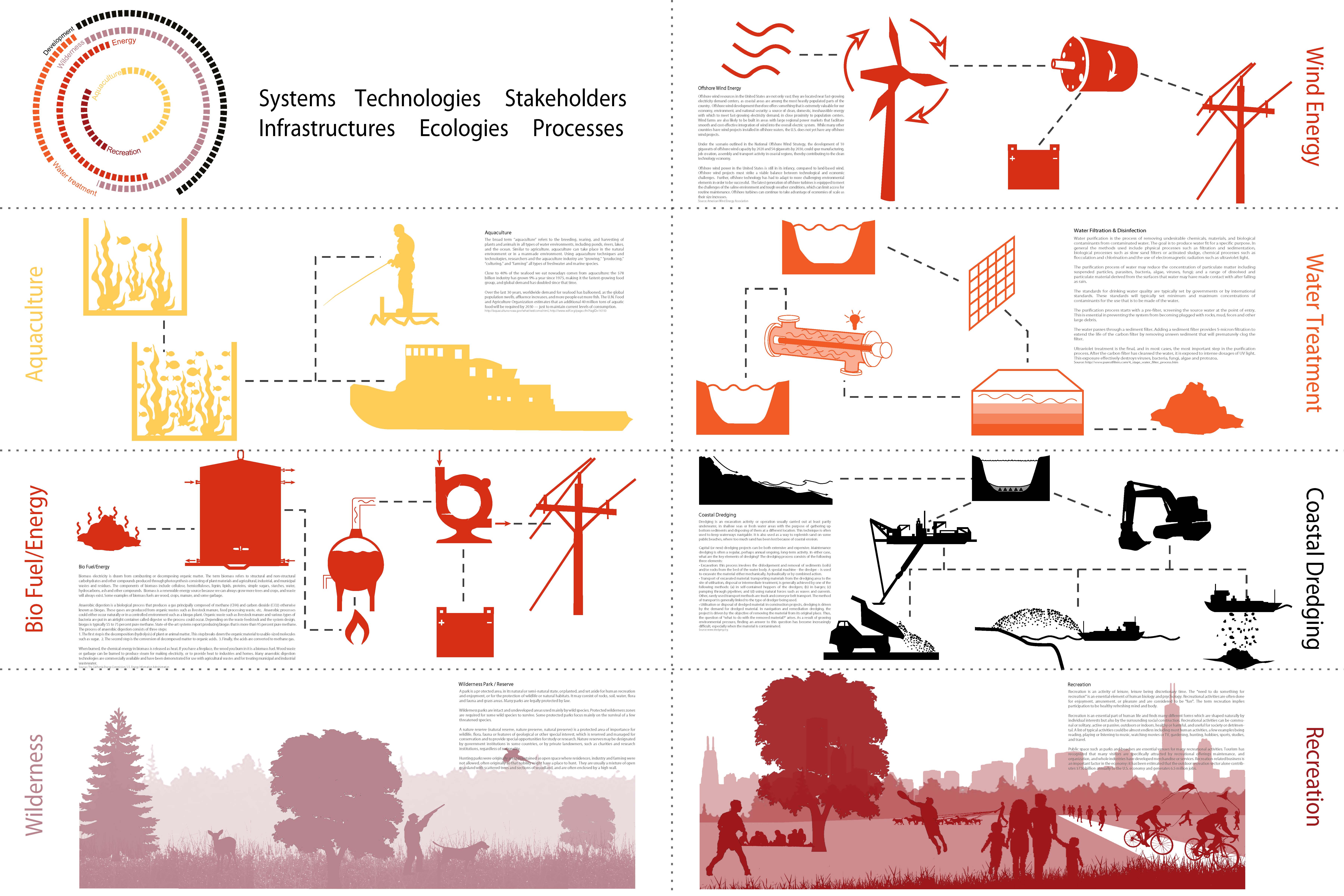 Ecological Opportunism | Amanda Kight