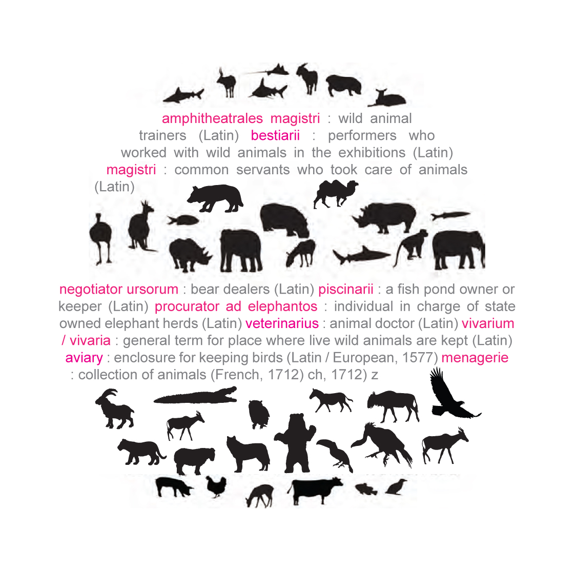 Vivarium Analysis | Amanda Kight